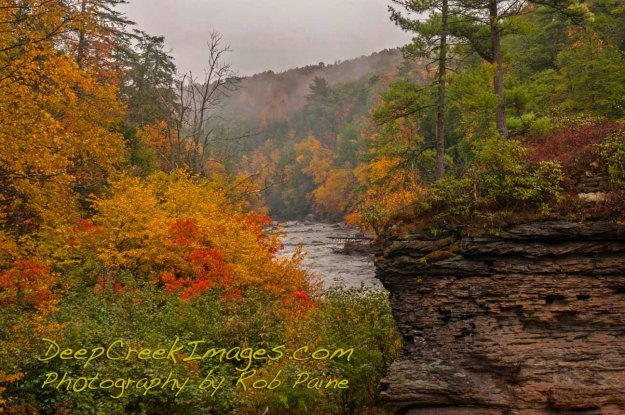 Wordless Wednesday : Autumn Glory at Swallow Falls State Park in ...